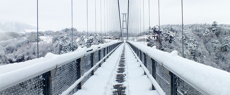 KOKONOE "YUME" OTSURIHASHI Official website